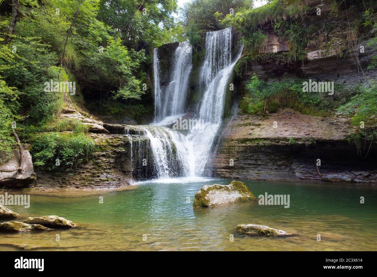 Idyllic rain forest waterfall, stream flowing in the lush green forest ...