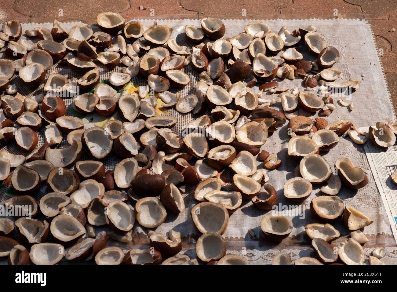 Coconuts drying in the sun, Goa, India Stock Photo - Alamy