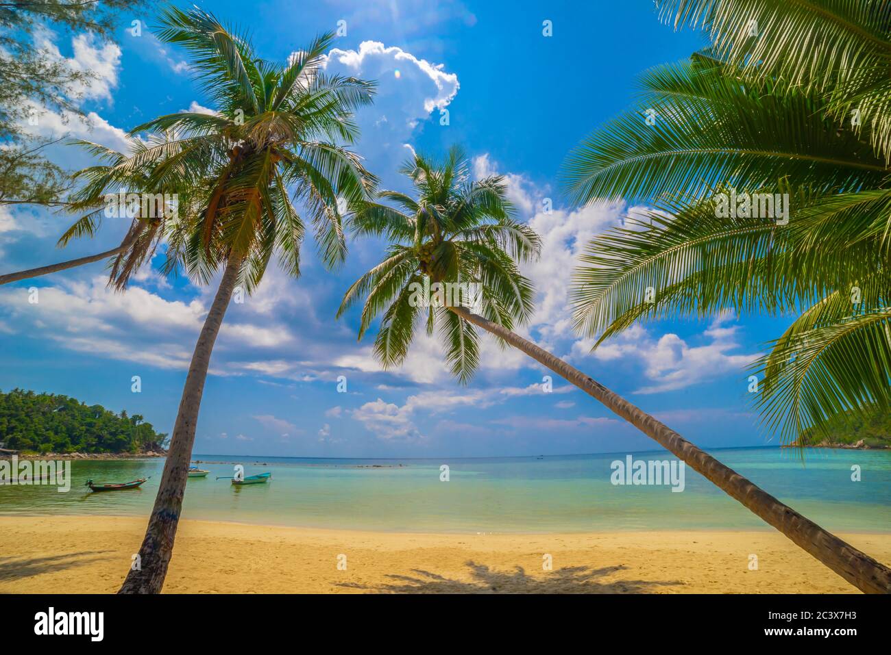 Beautiful tropical island beach, summer nature scene beach, blue sky ...
