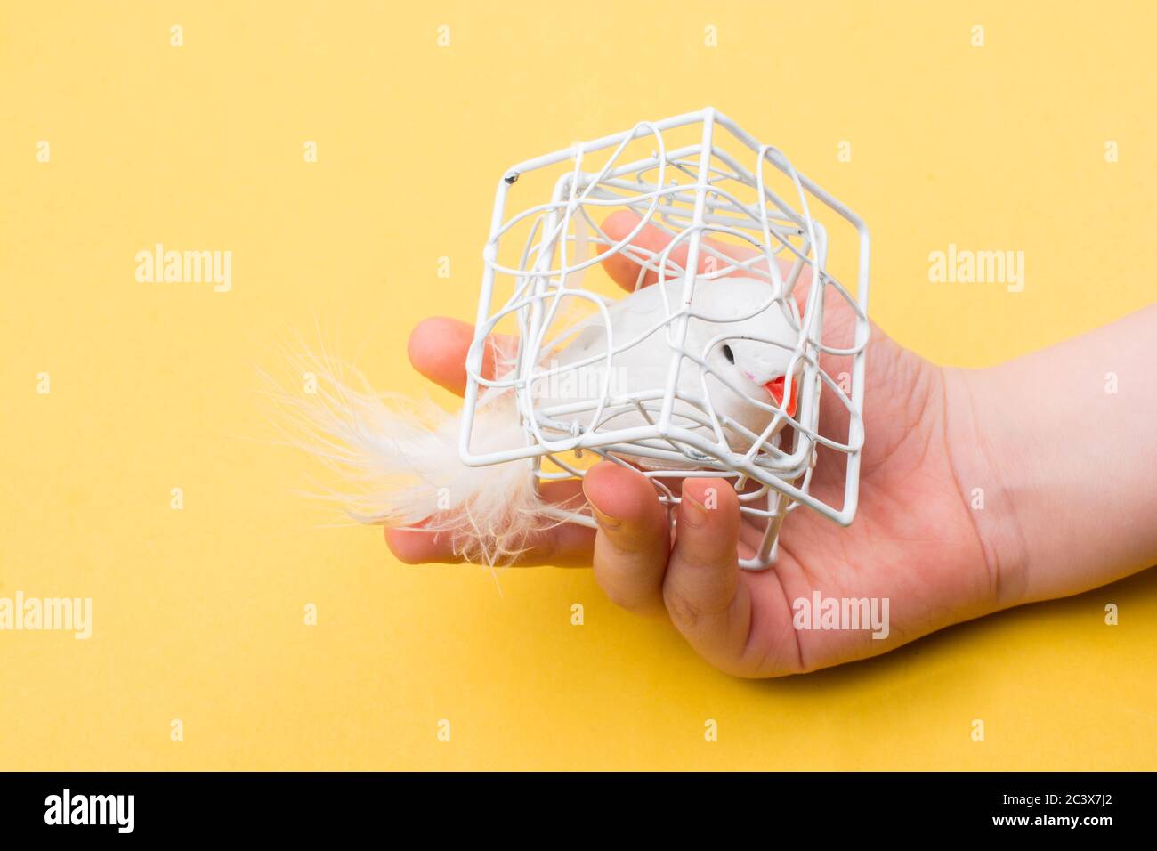 Fake pigeon hi-res stock photography and images - Alamy