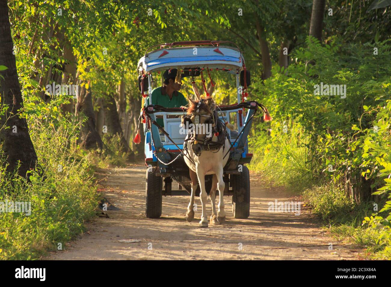 Donkey driver rider hi-res stock photography and images - Alamy