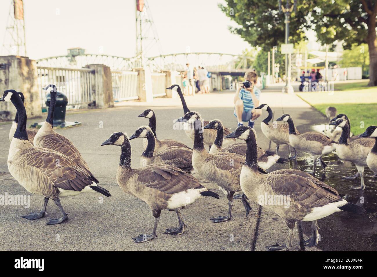 Portland wildlife hi-res stock photography and images - Alamy