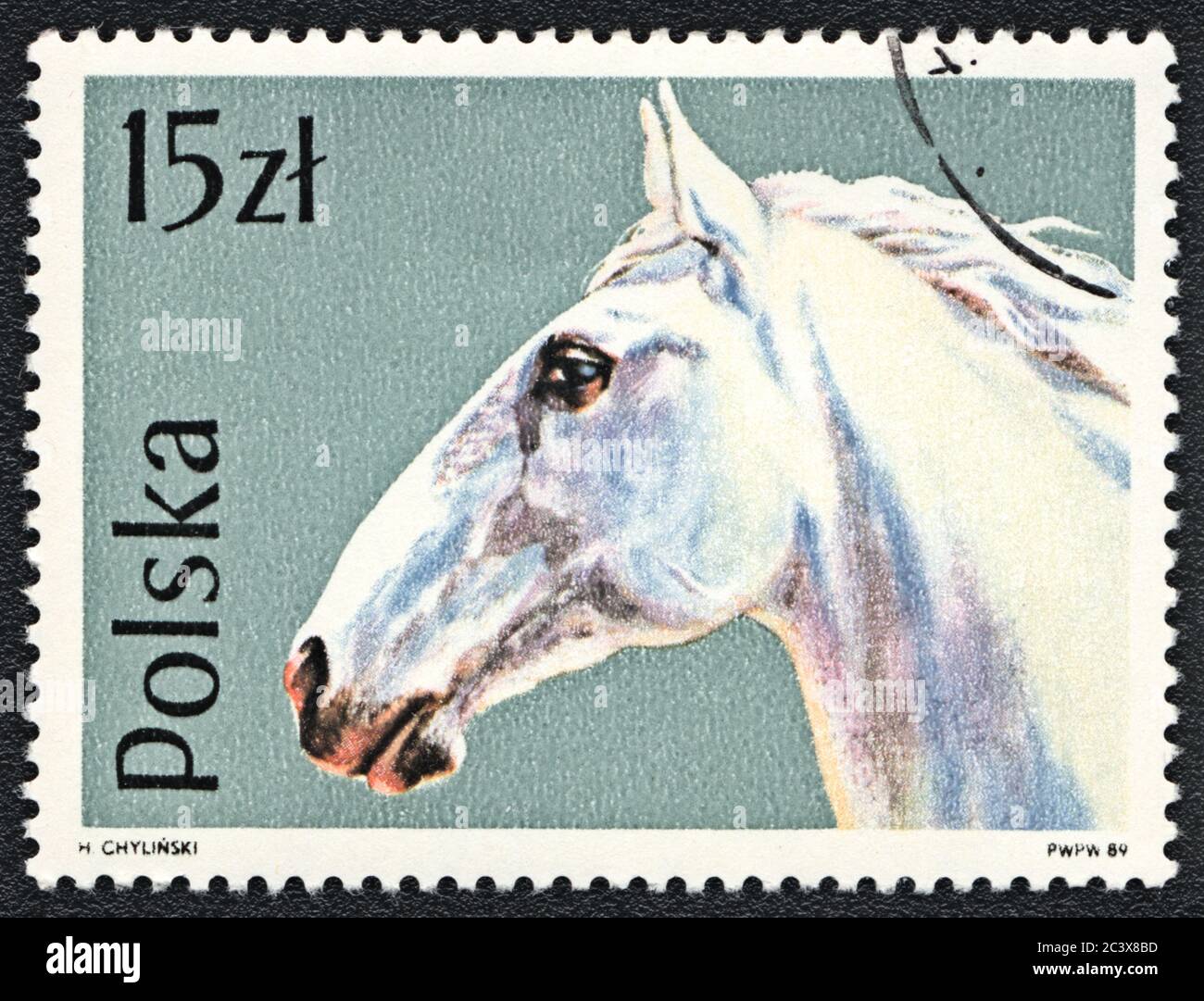 Hook nosed white horse. Postage stamp from series, Poland, 1989 Stock ...