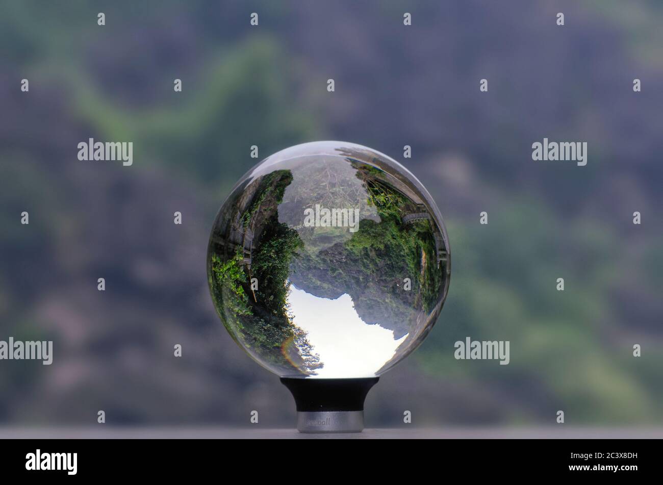 forest in a glass bowl Stock Photo - Alamy