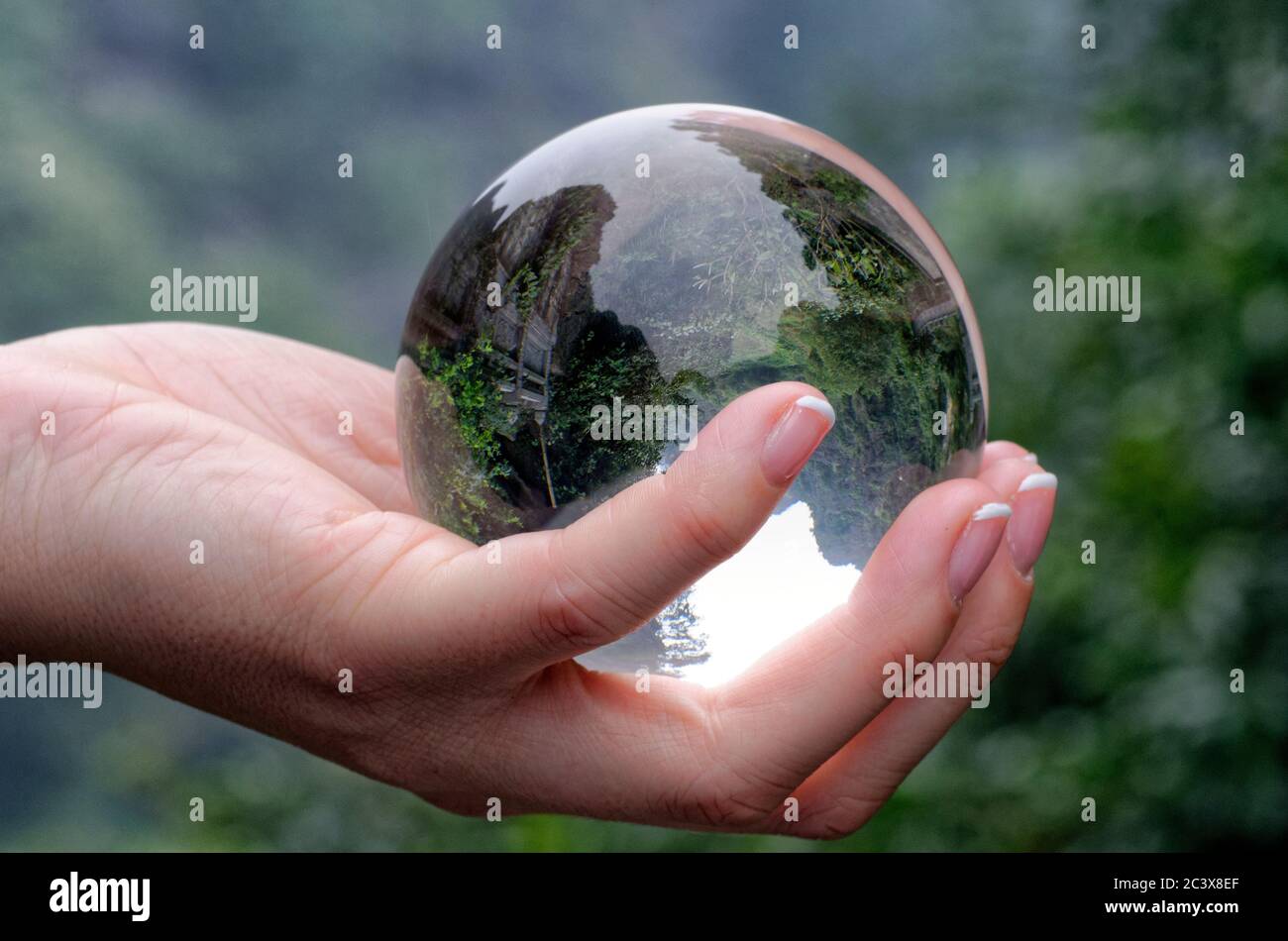 Jungle in a hand Stock Photo - Alamy