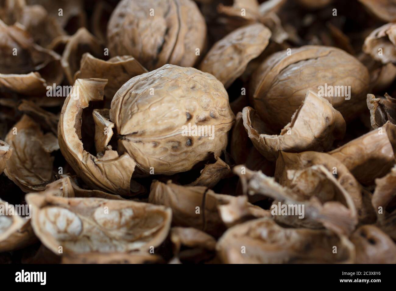 walnut shell and walnut texture background Stock Photo - Alamy