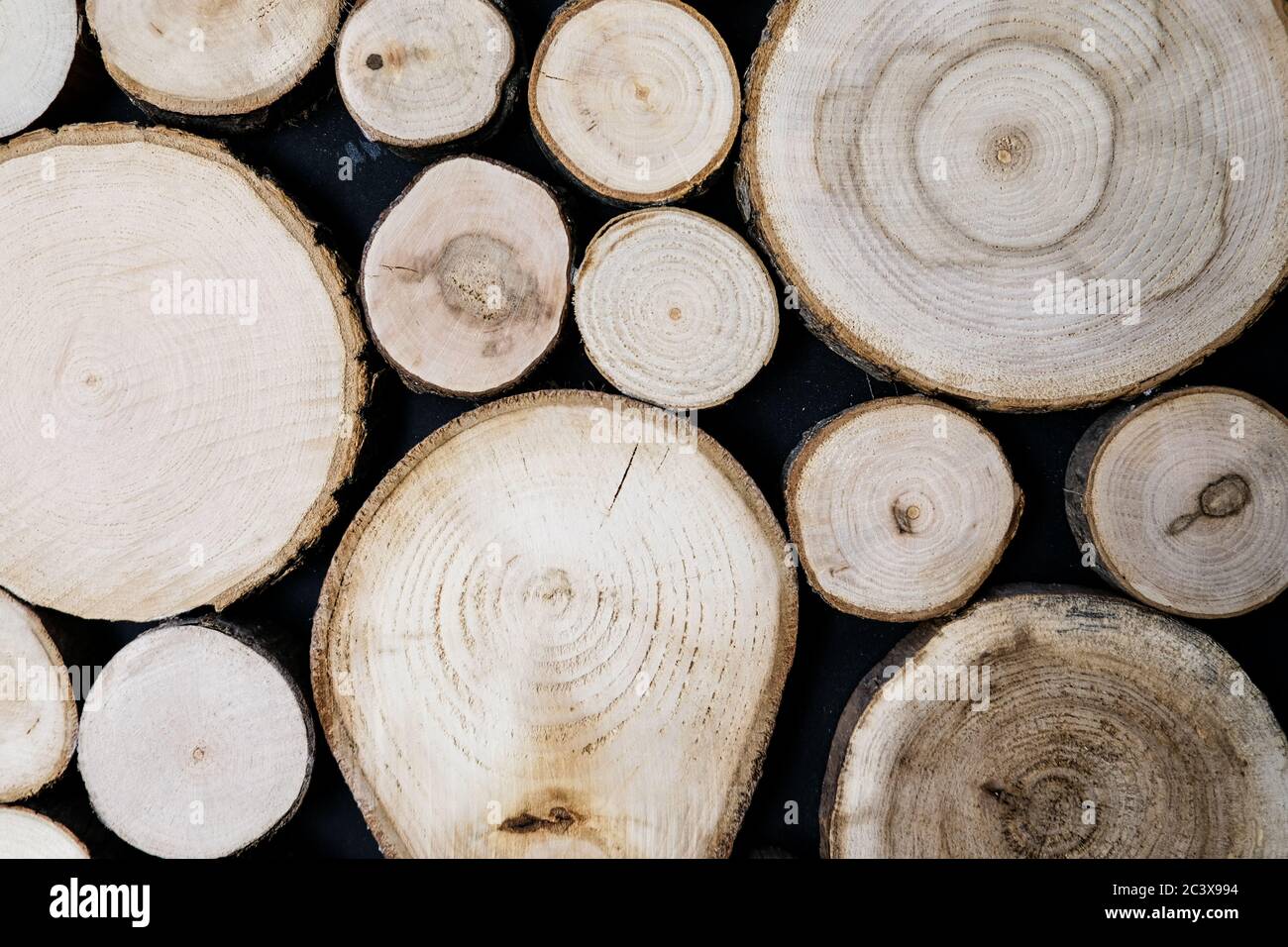 Wooden cut log hi-res stock photography and images - Alamy
