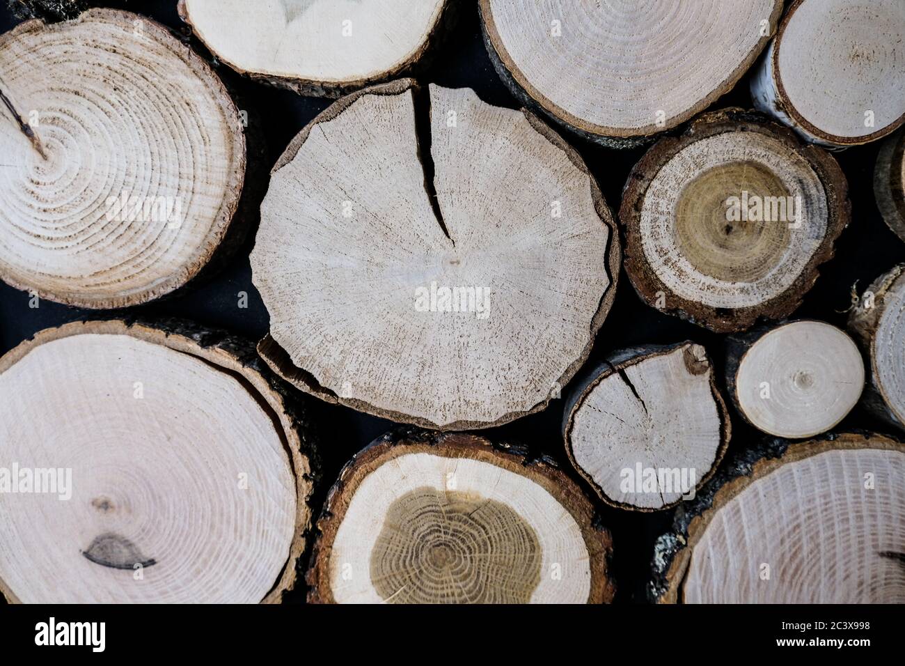 Close up view of cut wood log. Unique circles from old trees. Creative ...