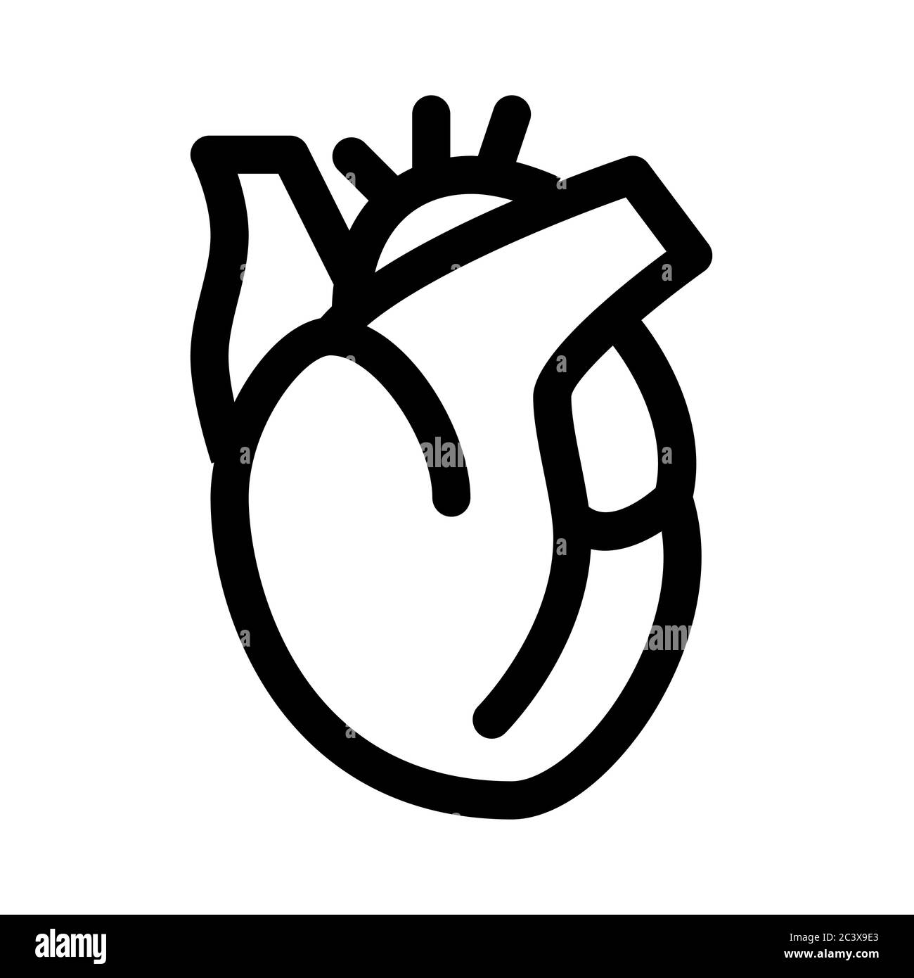 Human heart illustration anatomy Black and White Stock Photos & Images ...