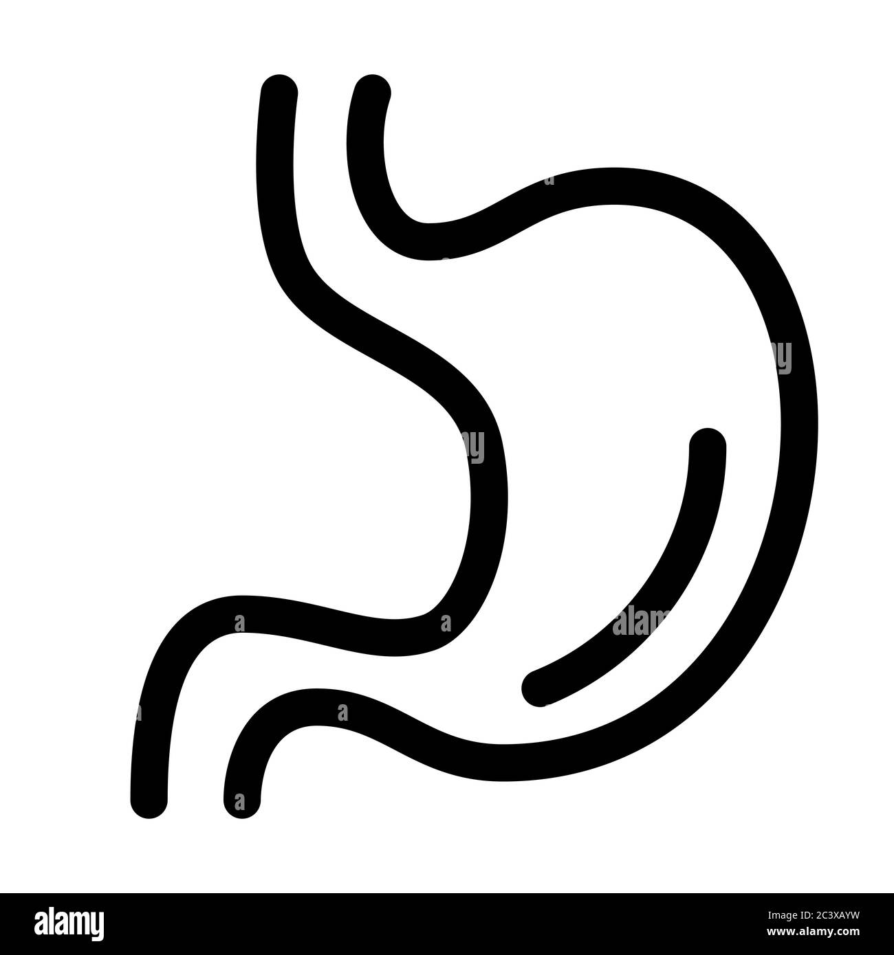 Anatomy body human stomach digestive gastric hi-res stock photography ...