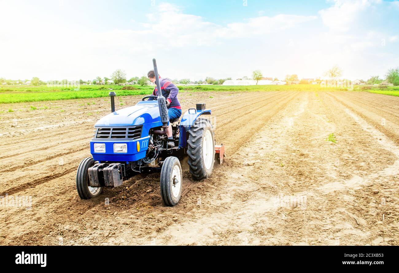 Farmer drives a tractor on a farm field. Agricultural industry ...