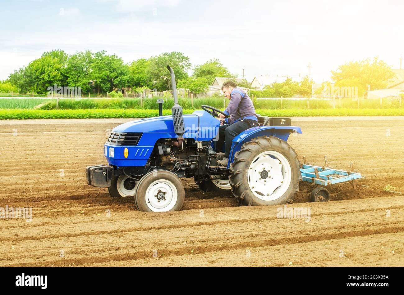 A white caucasian farmer on a tractor making ridges and mounds rows on ...