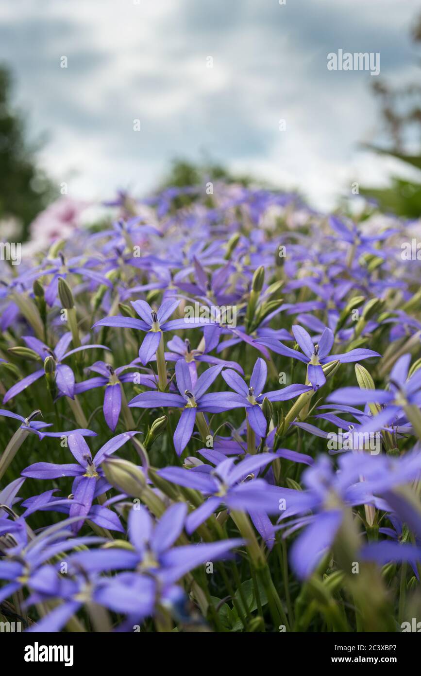 Perspective view closeup pattern hi-res stock photography and images ...