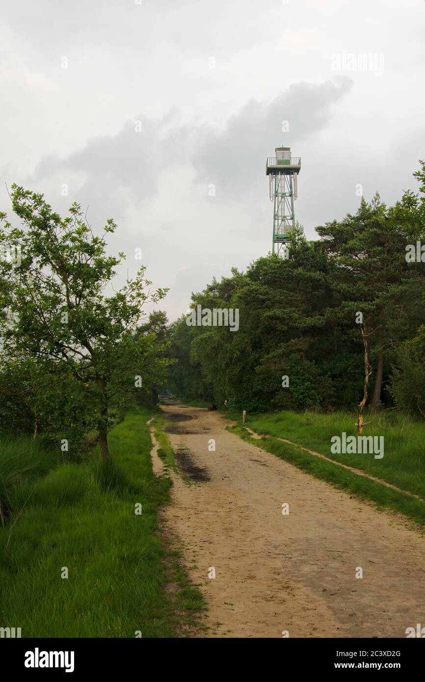 Fire tower in the woods hi-res stock photography and images - Alamy