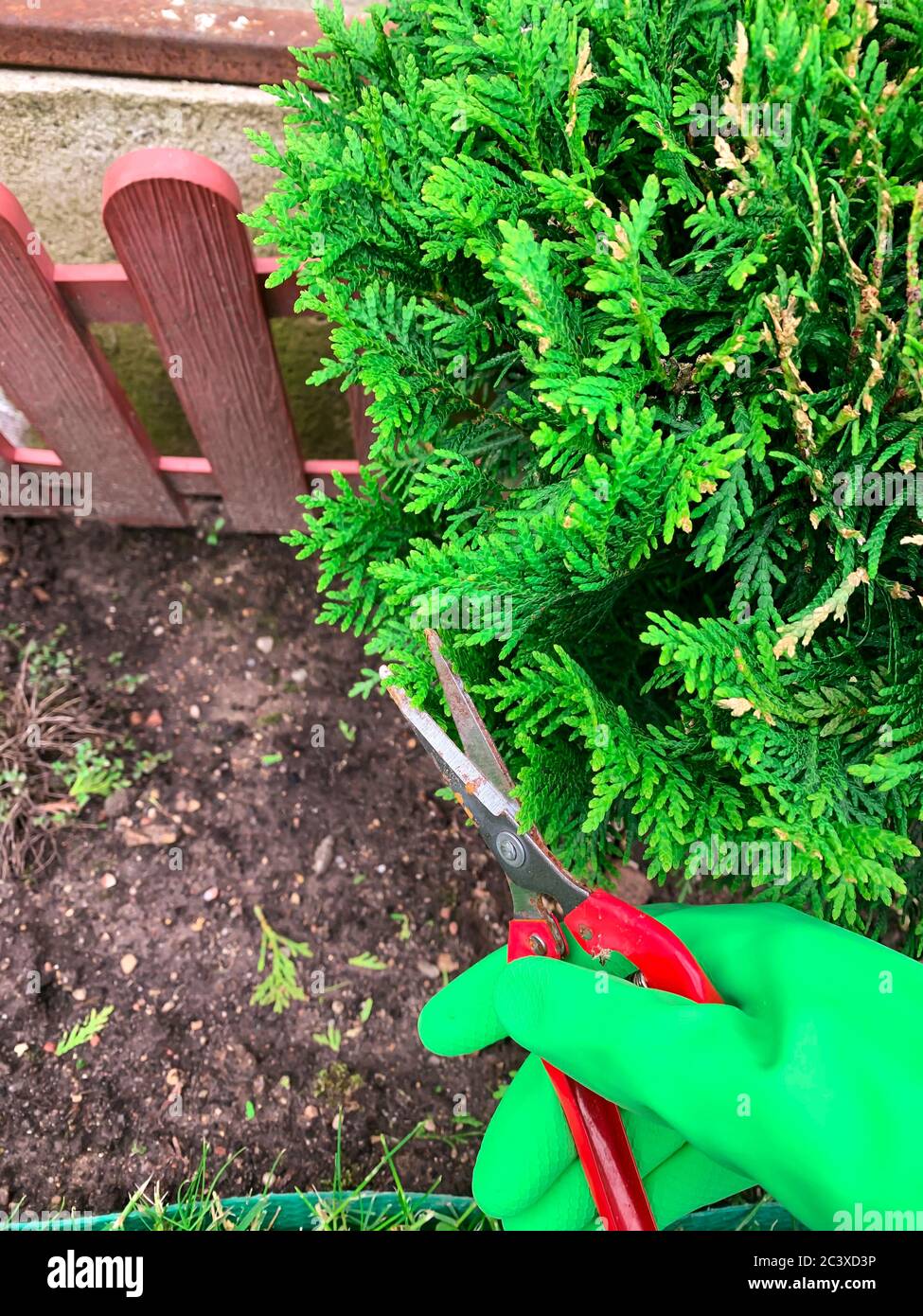 Manual clippers hi-res stock photography and images - Alamy