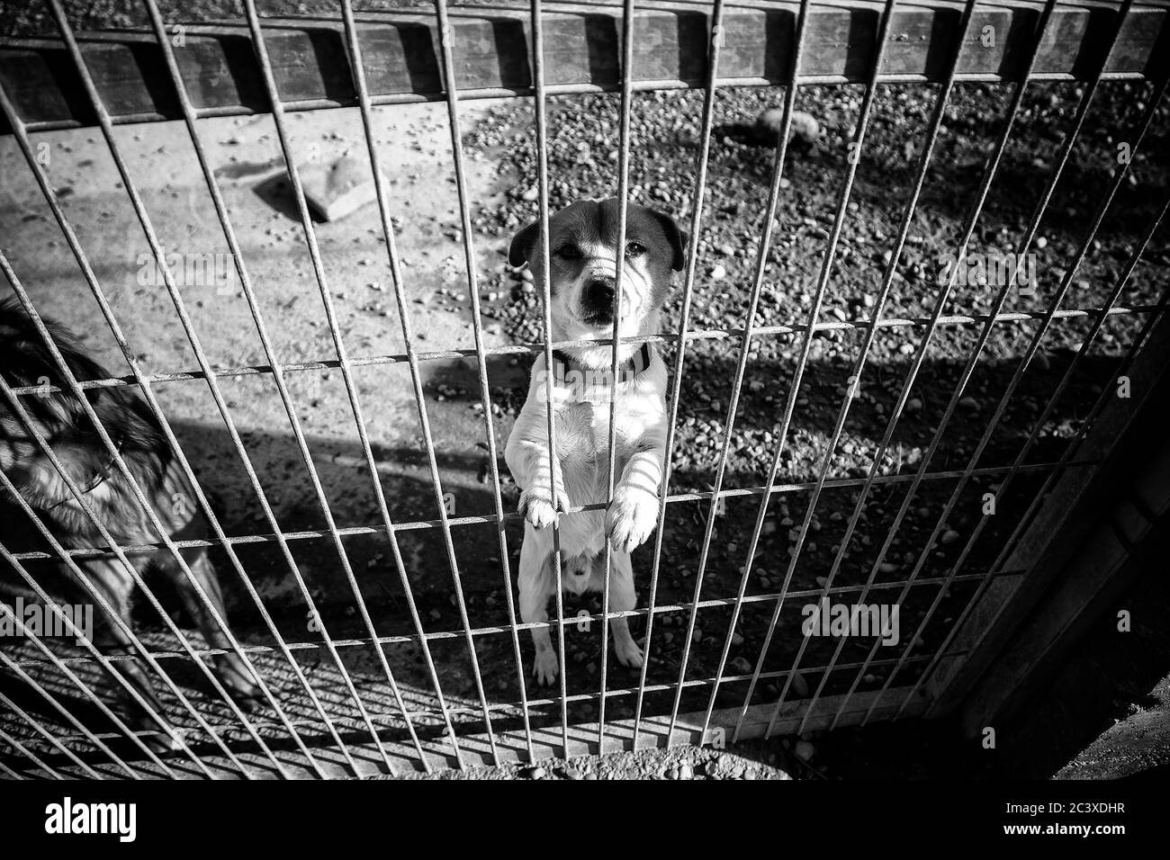 Shelter abandoned homeless house hi-res stock photography and images ...