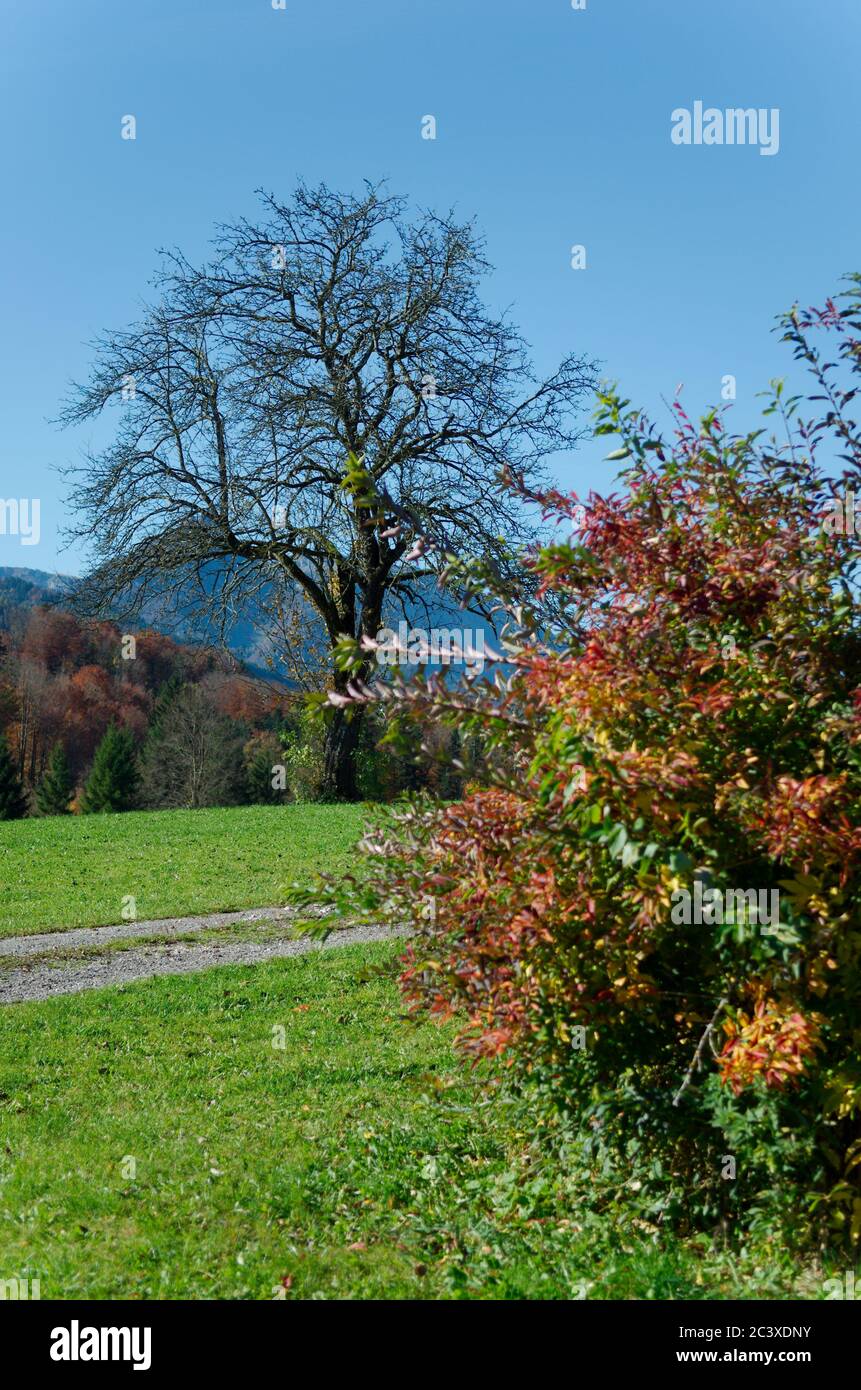 Weg und gras hi-res stock photography and images - Alamy