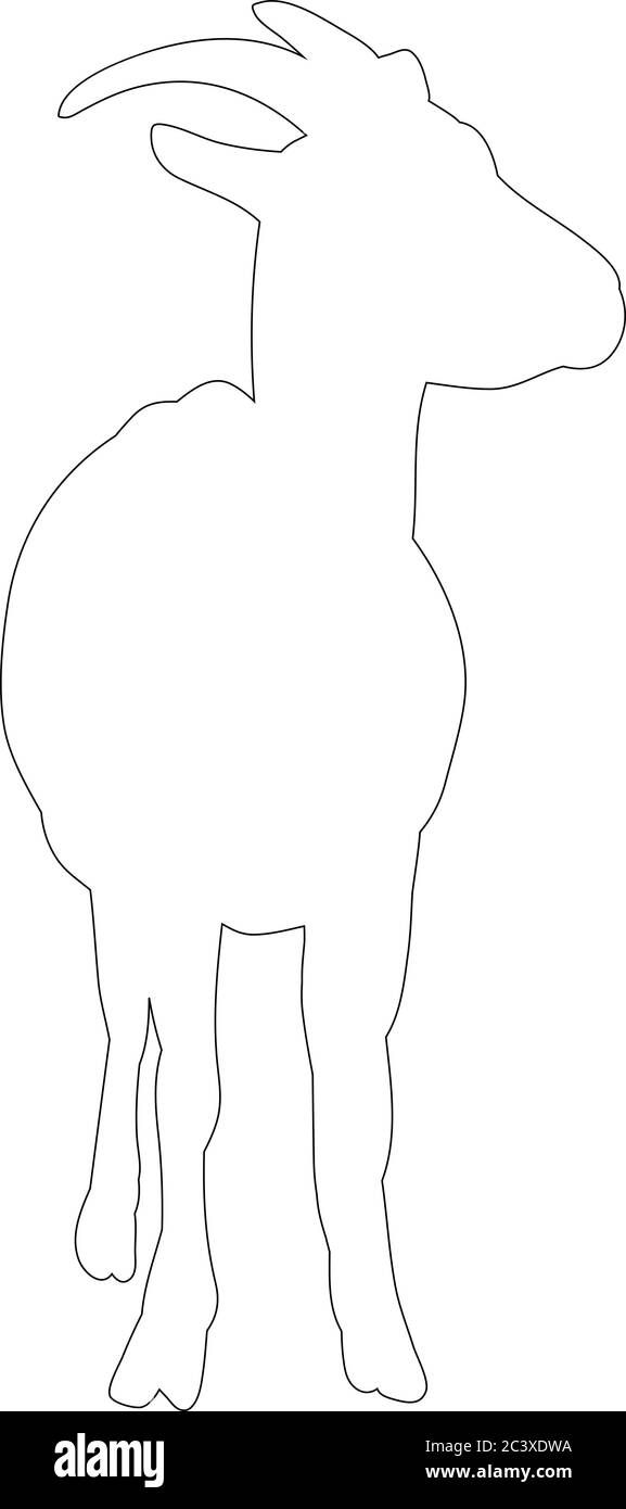 isolated contour is a goat on a white background Stock Vector Image ...