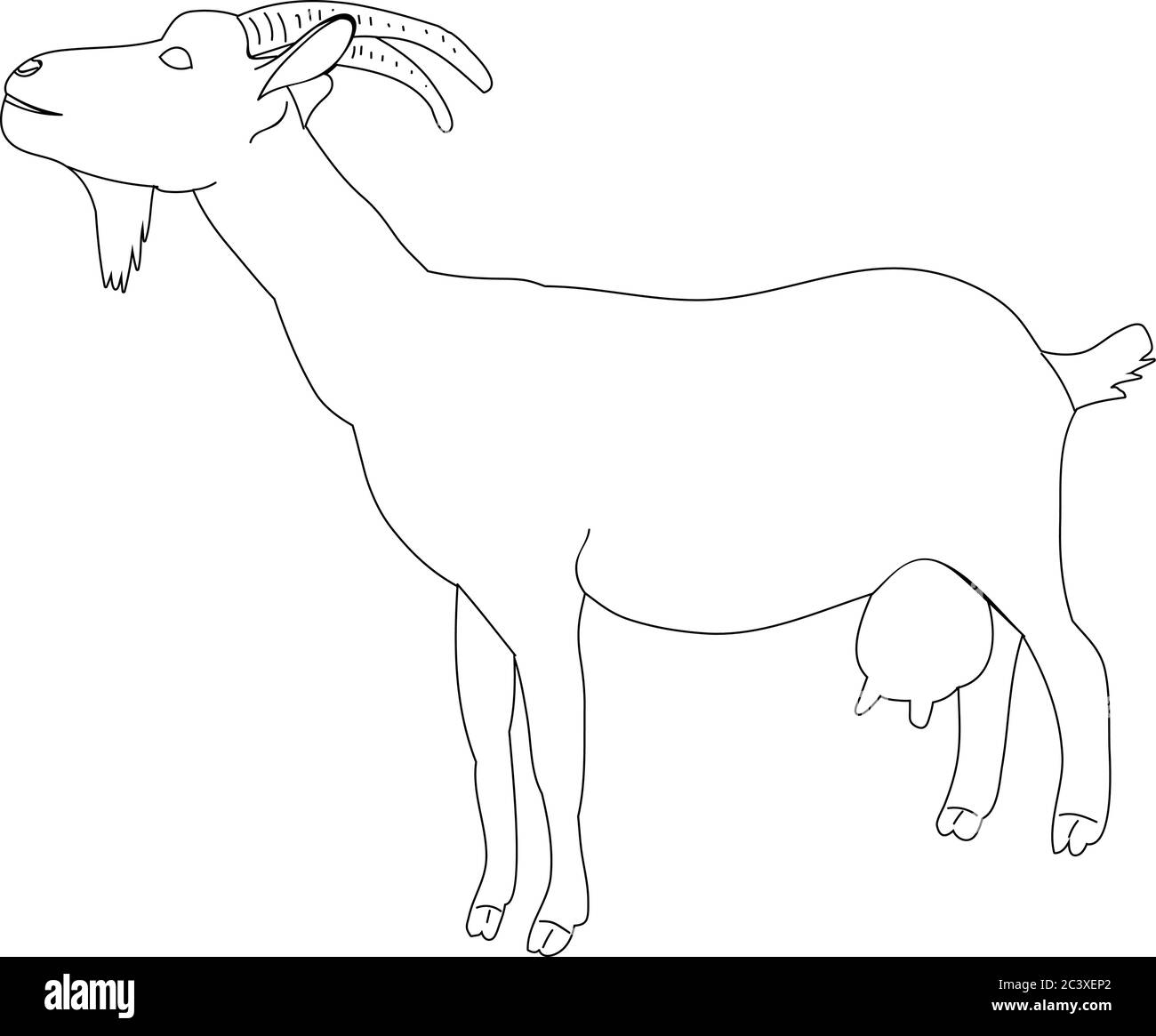 vector, isolated sketch of a goat, on a white background Stock Vector ...