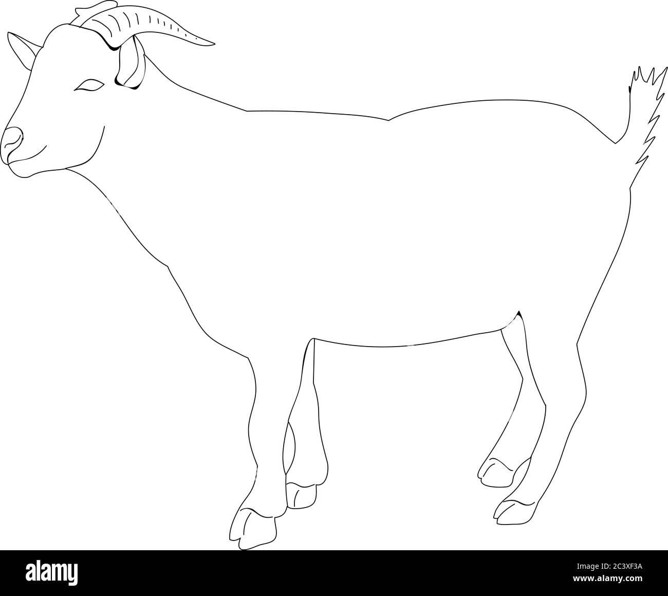 Goat sketch hi-res stock photography and images - Alamy
