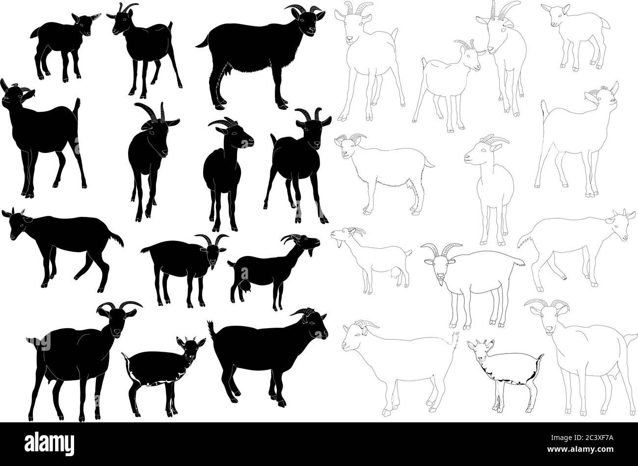 isolated set of goat silhouettes, outline of goat Stock Vector Image ...