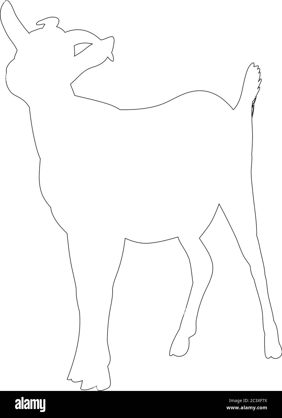 isolated contour is a goat on a white background Stock Vector Image ...