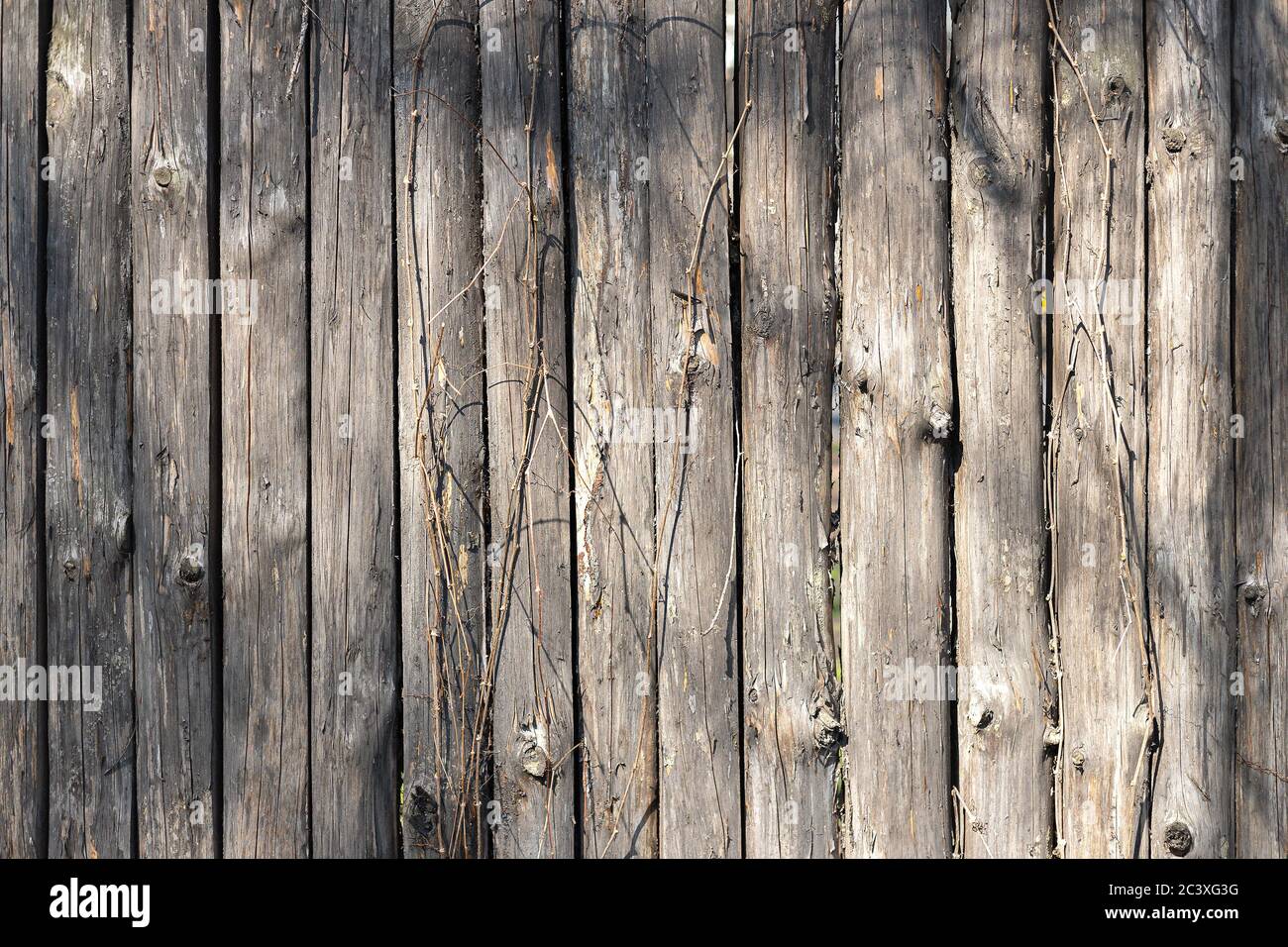 Old Wooden Fence Texture