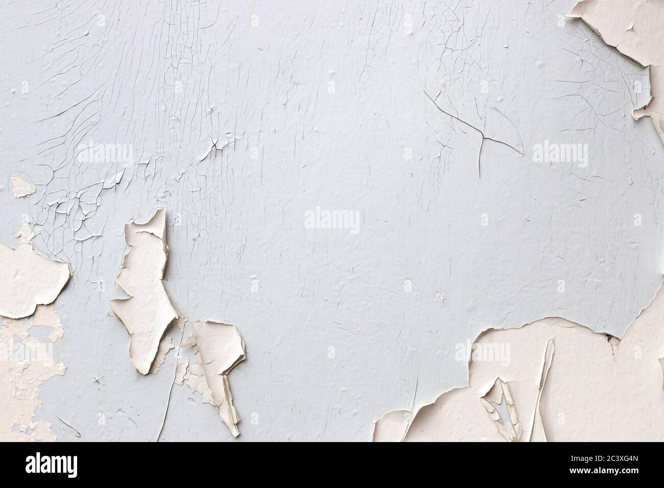 White flaking paint on grey wooden surface. Texture, background, close ...