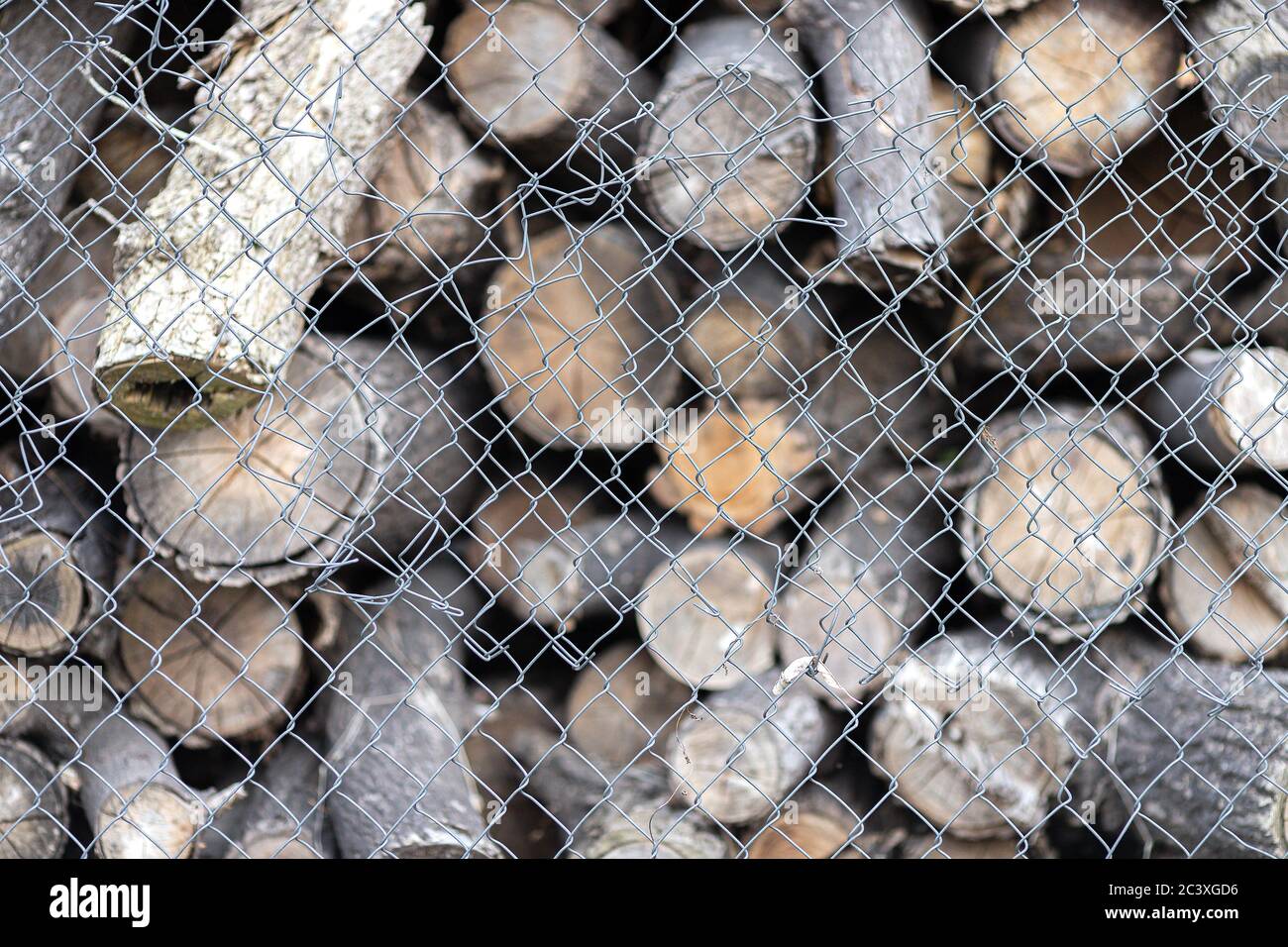 Firewood sticks in cluster behind the wire mesh, fuel for the fire ...