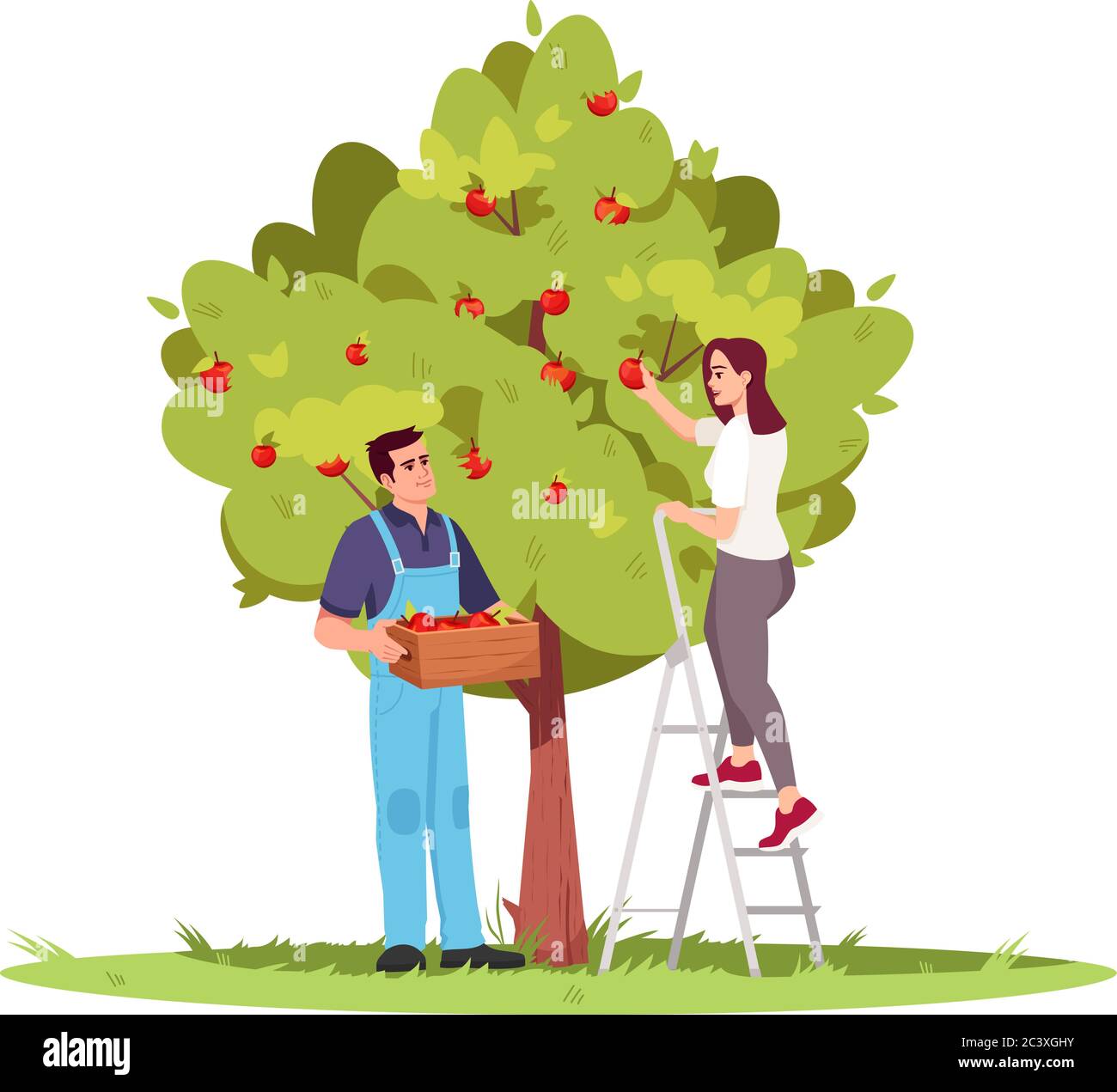 Collecting apples semi flat RGB color vector illustration Stock Vector ... Collecting apples semi flat RGB color vector illustration Stock Vector ...