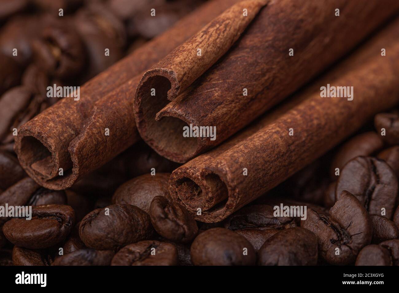 Three sticks of cloves against the background of coffee beans, close-up ...