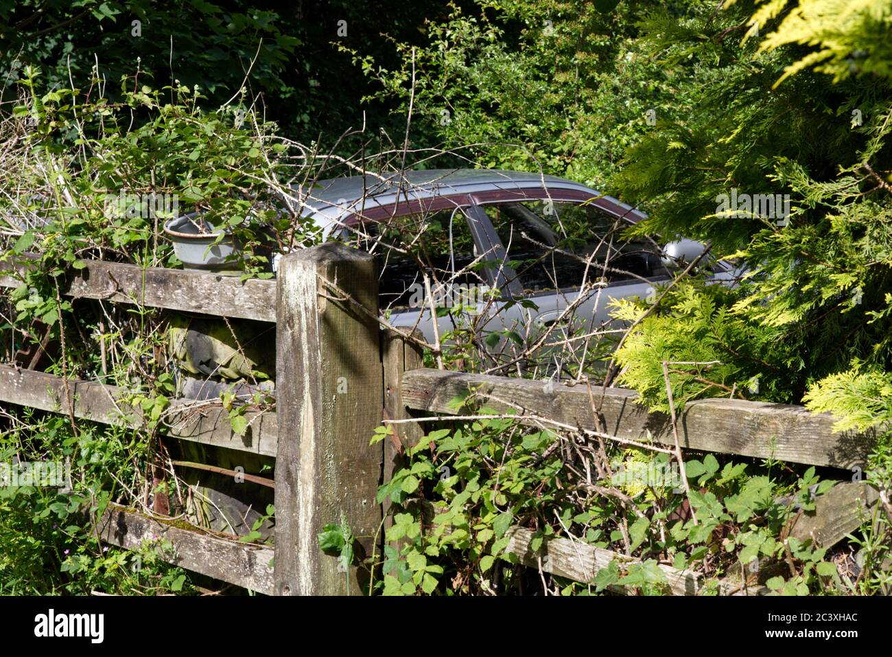 Old car in the weeds hi-res stock photography and images - Alamy