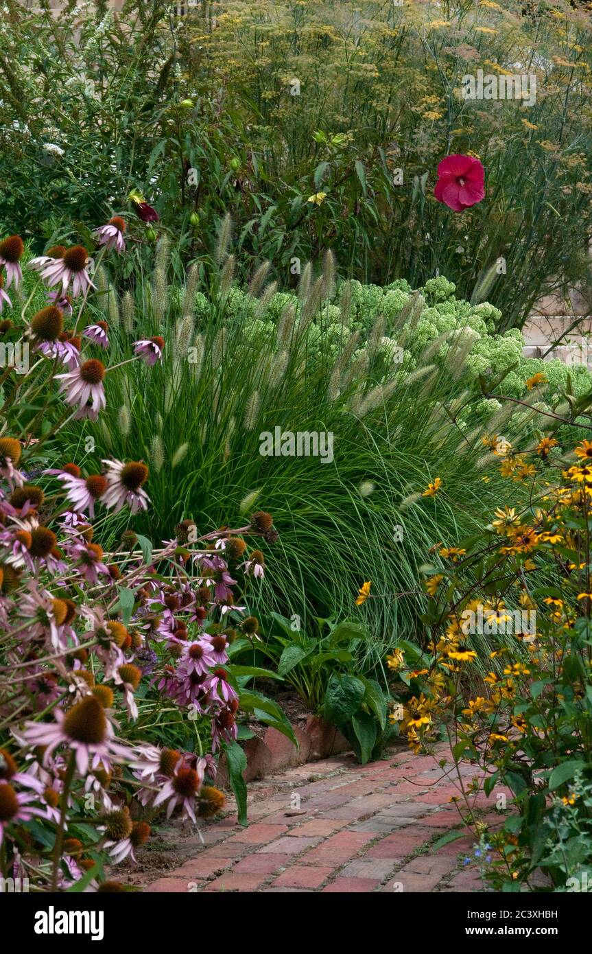 Fall Garden with ornamental grass, echinacea and Rudbeckia Stock Photo ...