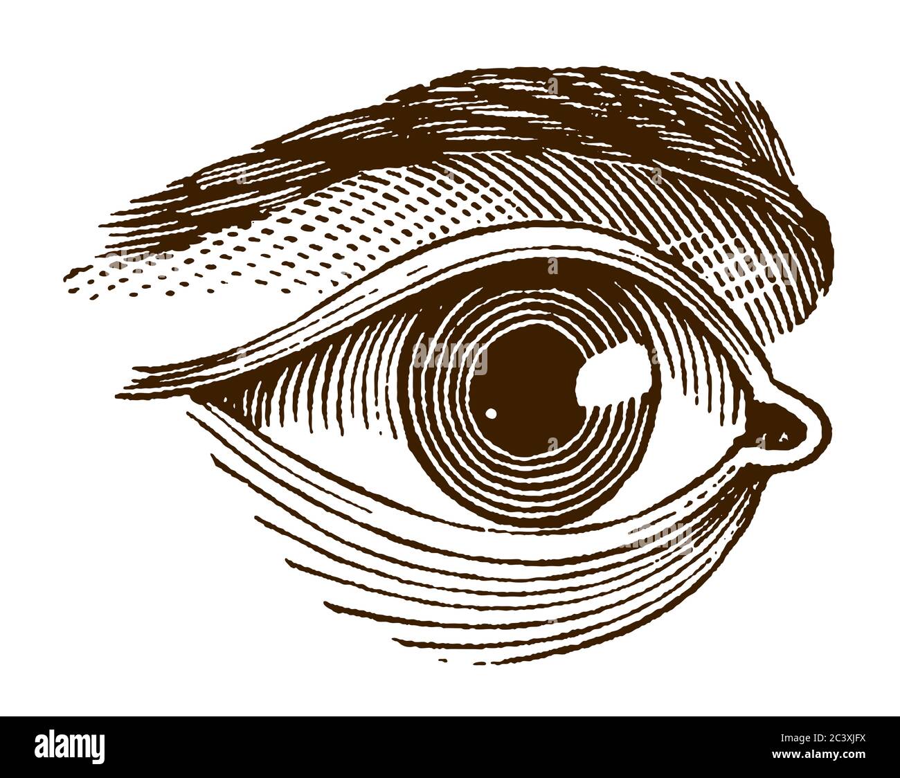 Close-up of a right human eye, after an antique engraving from the 19th ...