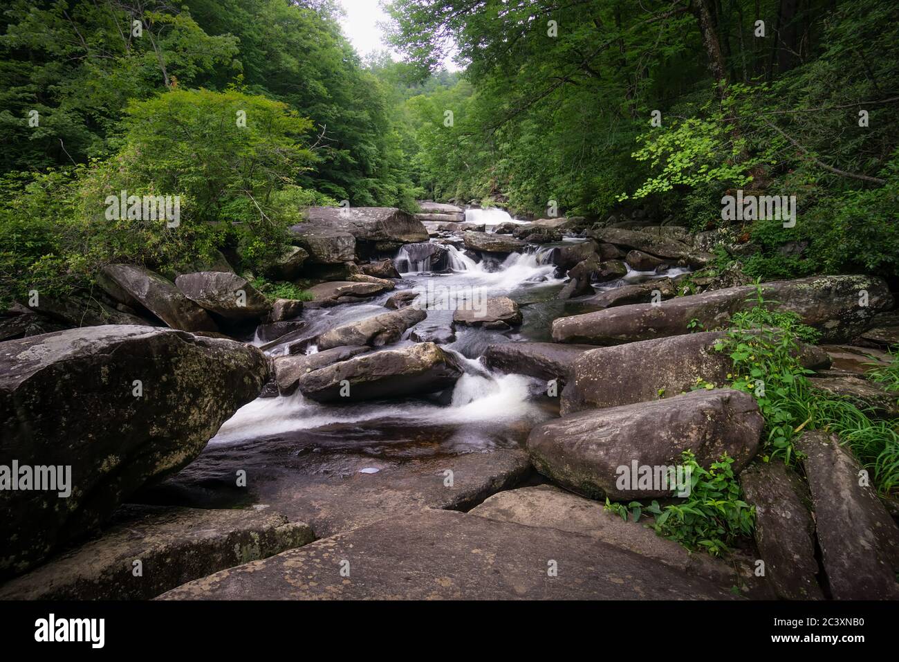 Strawberry creek hi-res stock photography and images - Alamy