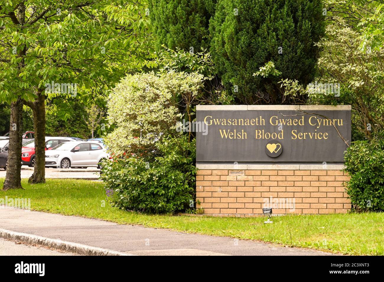 Welsh blood service hi-res stock photography and images - Alamy