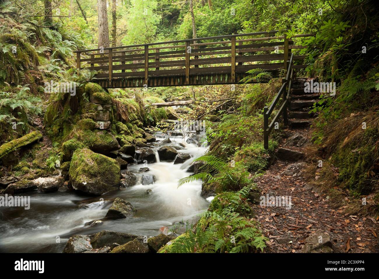 Footbridge over the esk river hi-res stock photography and images - Alamy