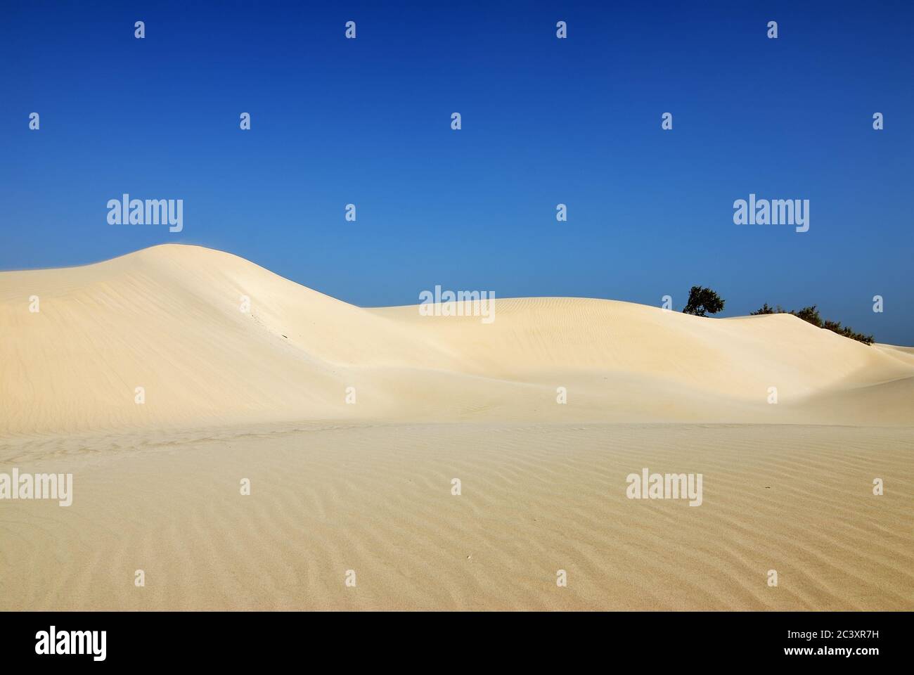 Big white sand dunes at Aomak beach at sunset, Socotra island, Yemen ...