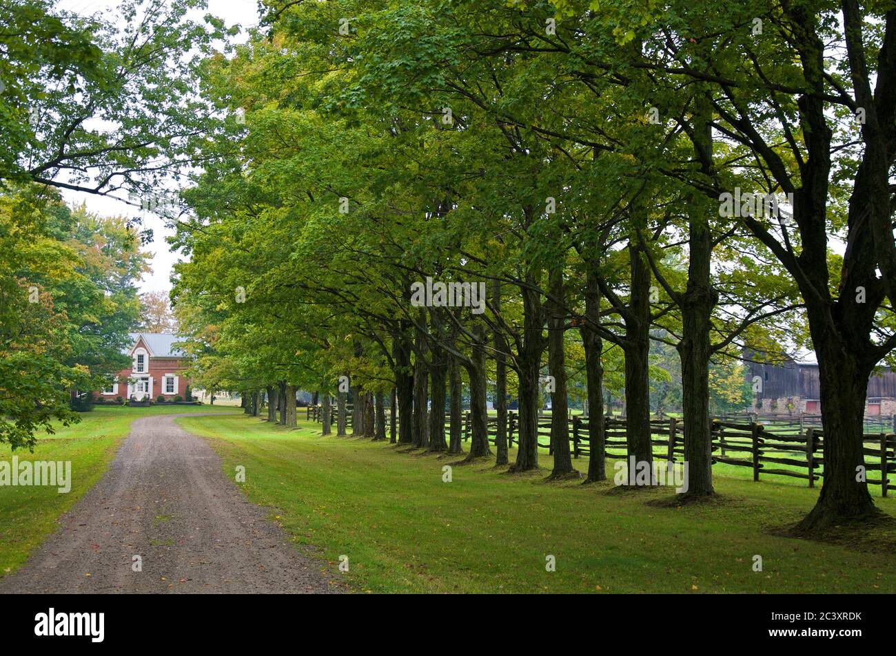 Treelined dirt road in a farm of Ontario, Canada Stock Photo - Alamy