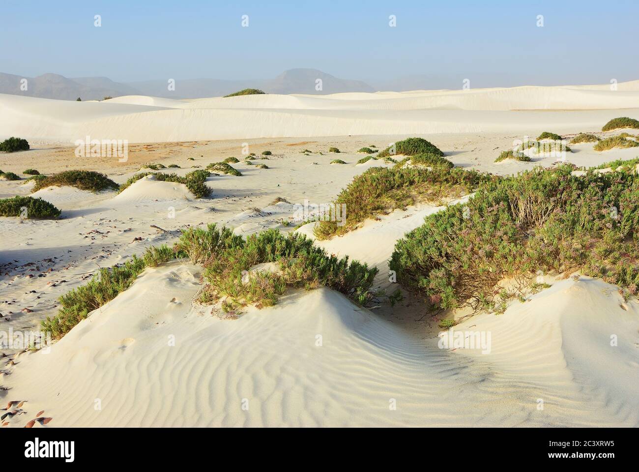 White sand dune of Arher beach on Socotra island at sunset, Yemen Stock Photo - Alamy