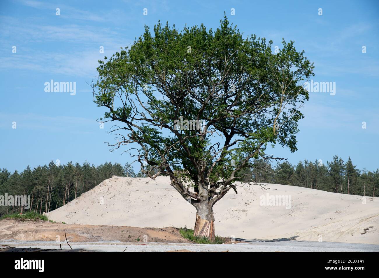 Construction site on the Vistula Spit canal which connect port of ...