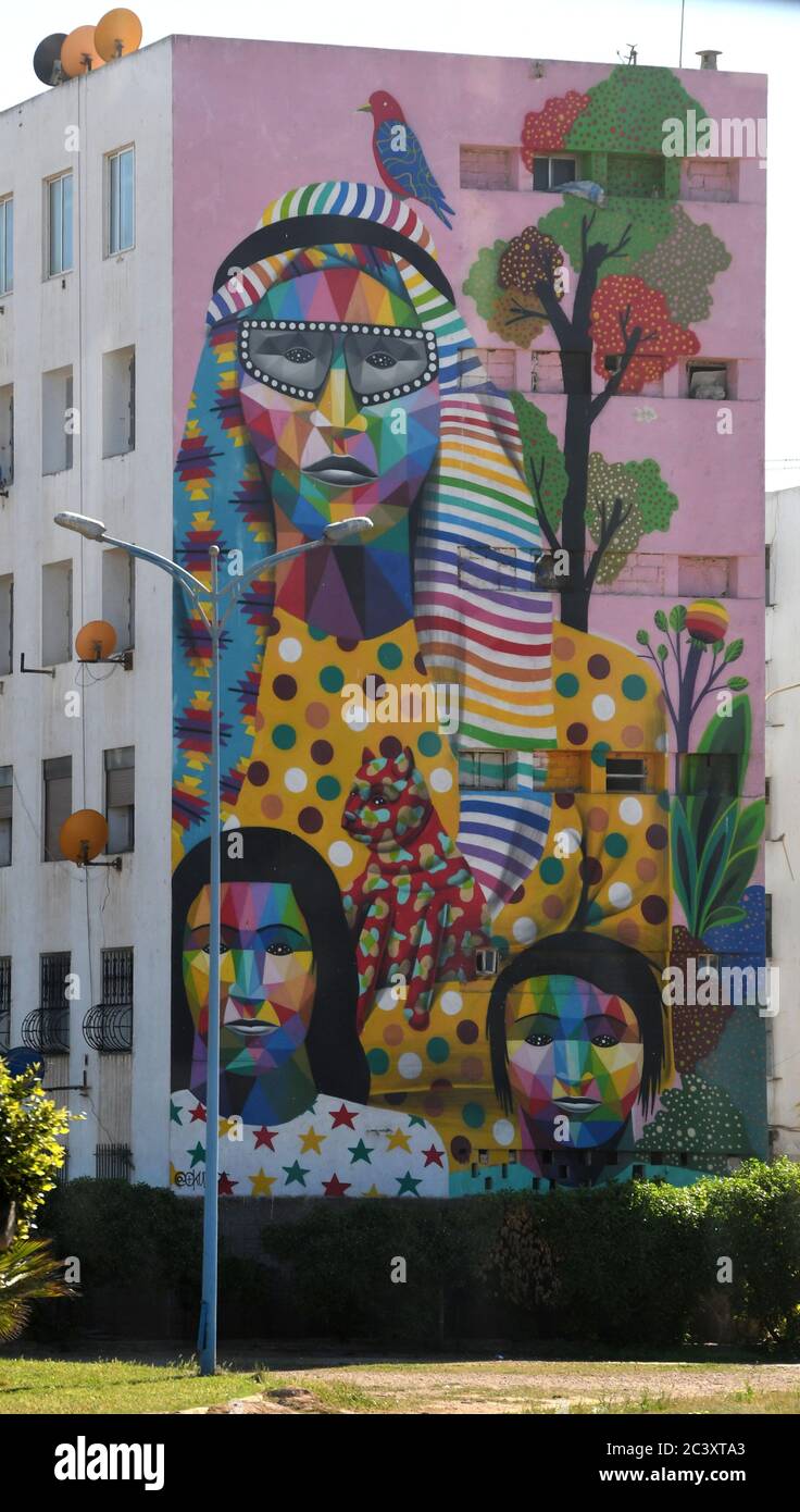 Casablanca, Morocco. 4th Mar, 2020. The murals shown on apartment ...