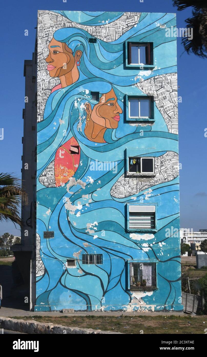 Casablanca, Morocco. 4th Mar, 2020. The murals shown on apartment ...