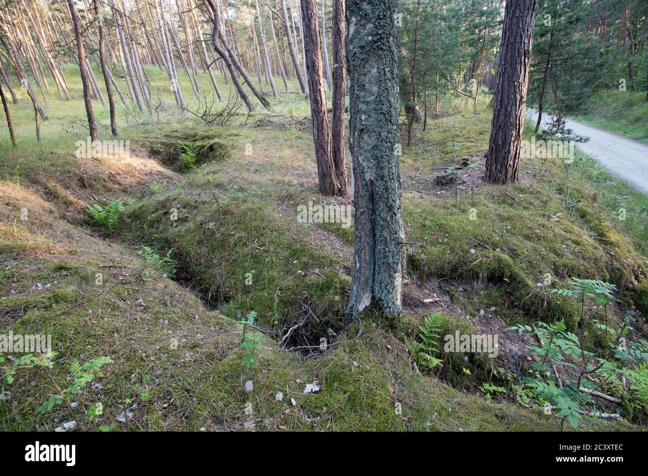 Defensive Fighting Position High Resolution Stock Photography and ...