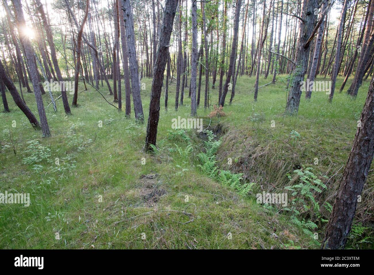 Defensive Fighting Position High Resolution Stock Photography and ...