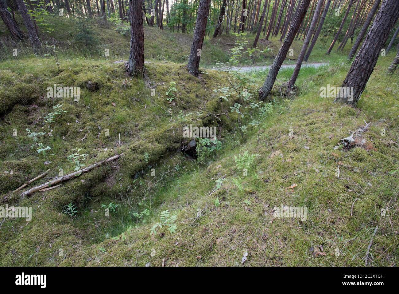 Former Nazi German defensive fighting position built in 1945 in Piaski ...