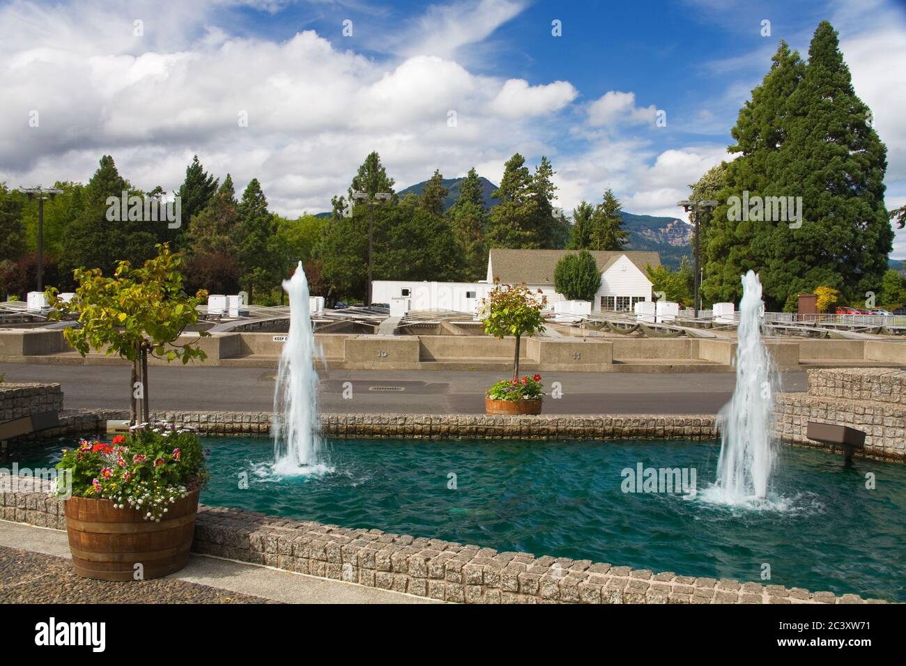 Oregon hatchery hi-res stock photography and images - Alamy