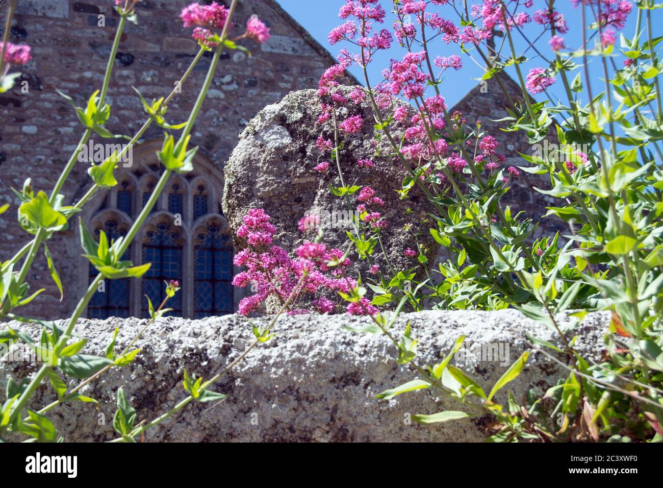 The Stone Cross by the Church Gate at Ludgvan, Cornwall UK Stock Photo ...