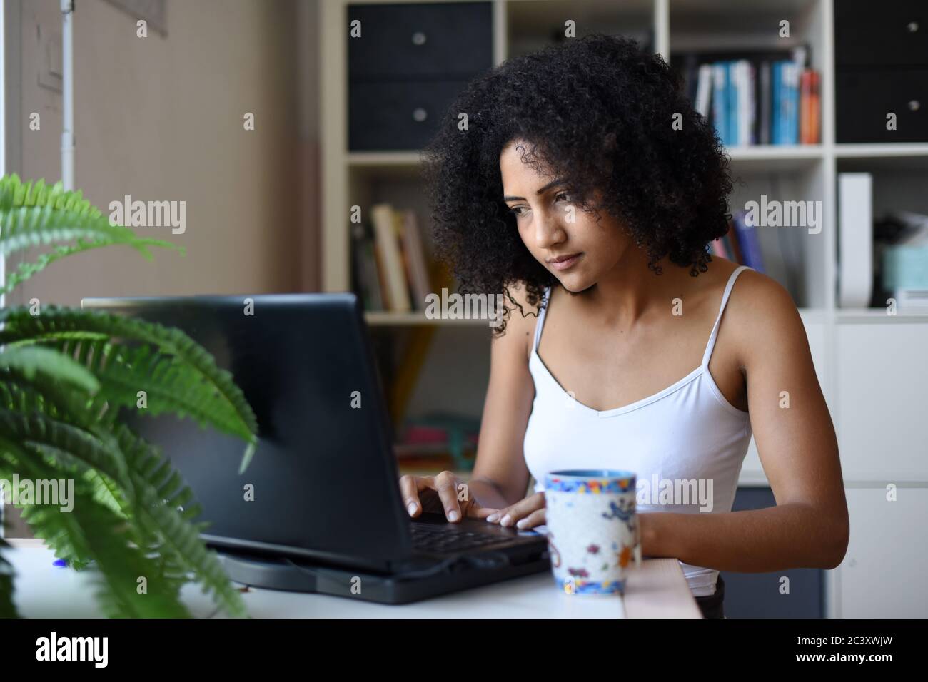 Metis home hi-res stock photography and images - Alamy