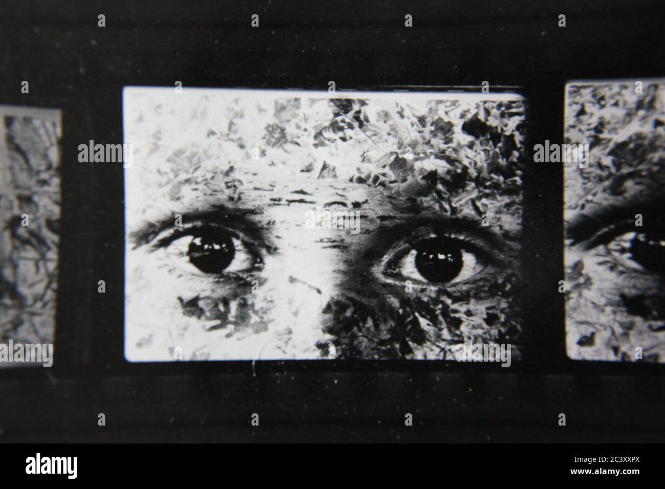 Superimposed Photographs